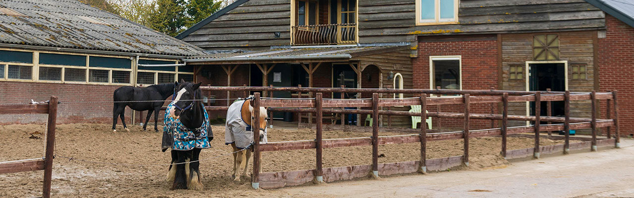 Tarieven - Oliverstables